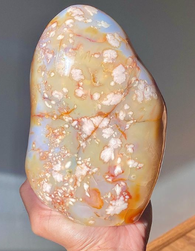 Freeforms – Bad Witch Crystals